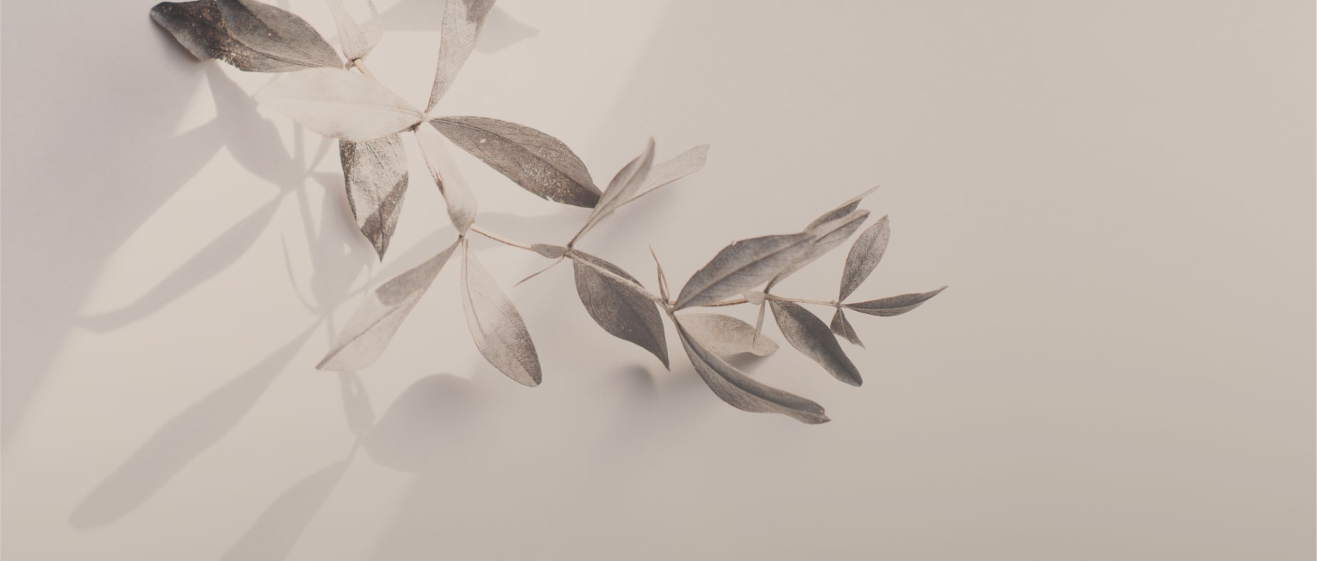 Main Home - Eleora Gems